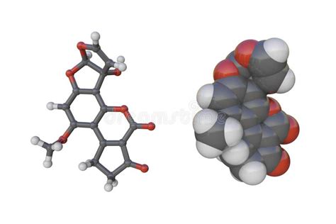 Molecular Models Of Aflatoxin M1 Atoms Are Shown As Spheres With