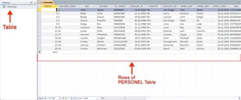 Access Database Management With Excel Userform New Ideas For Computer