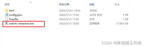 Vue webrtc streamer网页实时播放RTSP视频流实战 CSDN博客