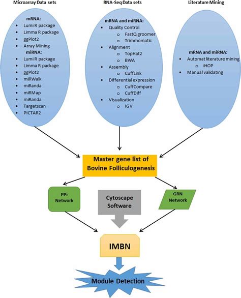 A Schematic Picture Demonstrating The Pathway Reconstruction Workflow