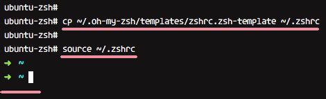 How To Setup ZSH And Oh My Zsh On Linux