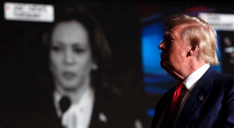 elon musk linked dark money network is behind a fake pro harris