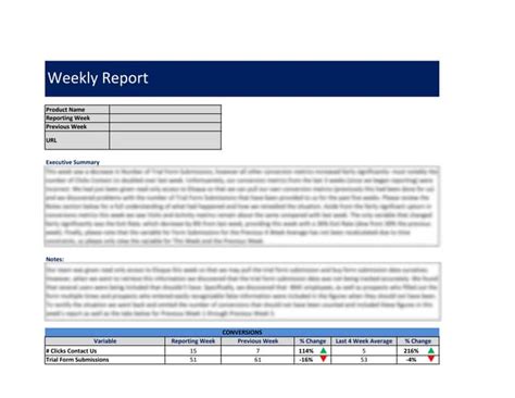 Penetration Test Report Template