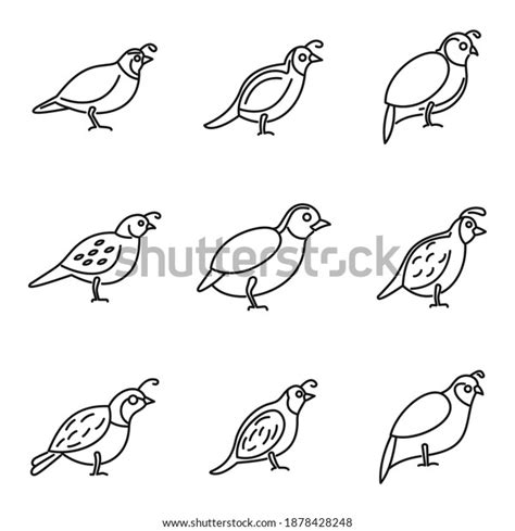 283 Quail Clipart Stock Vectors Images And Vector Art Shutterstock