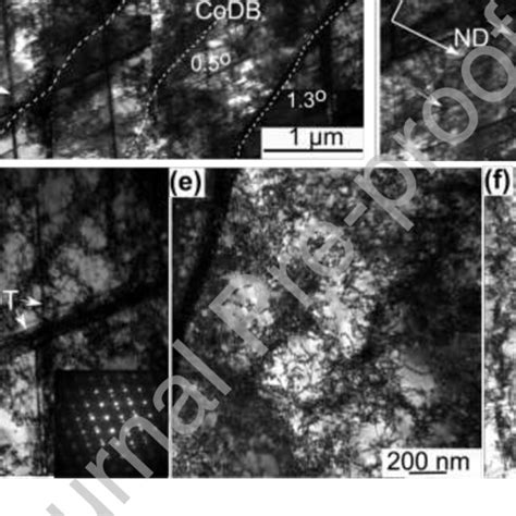Tem Images Showing The Deformation Microstructure Of P 10 A