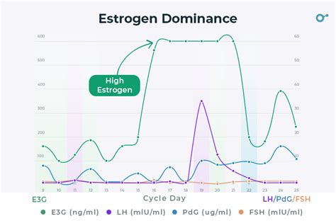 Estrogen Dominance And How Does It Affect The Body Inito