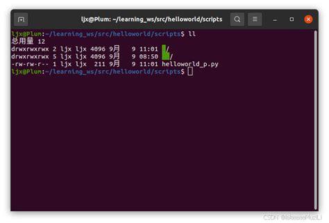 Ros学习笔记（2）——ros工作空间下使用python编程ros Python教程 Csdn博客