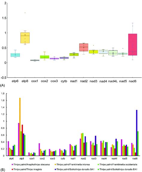 A Ratio Estimation Box Plot For Pairwise Divergence Of Kaks Ratio Download Scientific