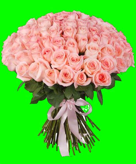 Bouquet On A Green Background