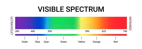 Visible Spectrum Color Wavelength Uv Gamma Vector Illustration Visible