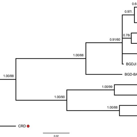 Heatmap Of A Genomic Relationship Matrix Constructed Using 24 Plant