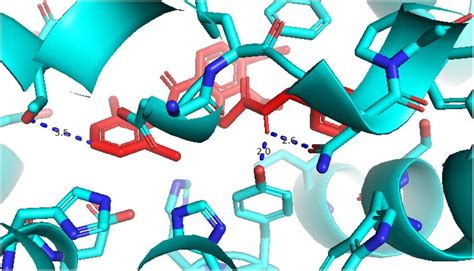 Pose 96 One Small Ligand Was Available In 4wcu That Was Shown By Pymol