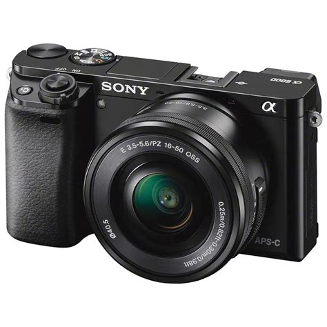 7 Best Camera for Safari Options: Safari Phone Photography Guide