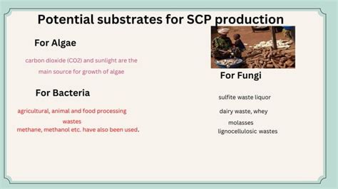 Single Cell Protein Scp Introduction Of Scp Importance Types And Drawbacks Of Scp Types Of