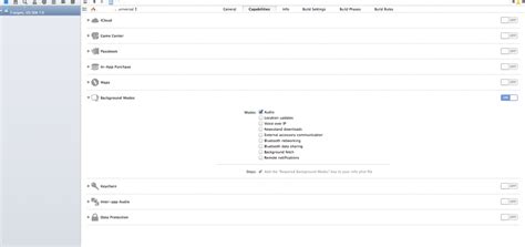 Xcode 5 Coming With New Image Type For IOS 7 And Capabilities Tab Share Our Ideas
