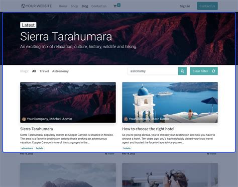 Odoo Website Blog Search Webkul