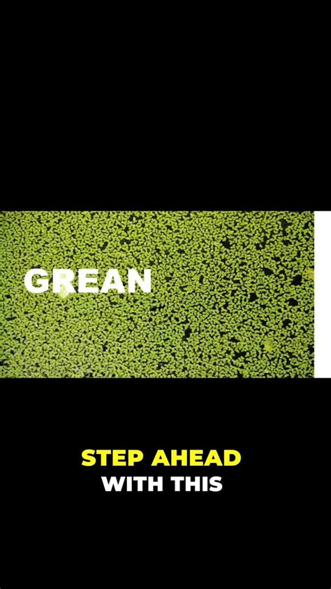 Morph Effect Tutorial PowerPoint