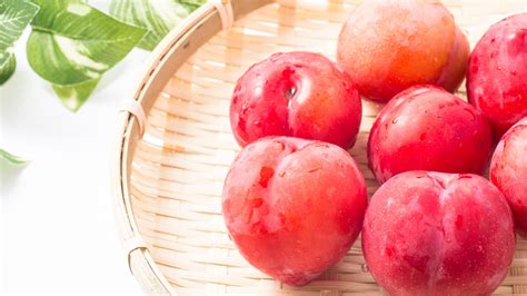 すももとプラムの違いとは？品種や旬、おいしい食べ方についても解説！ クラシル