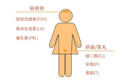 diagreat unique raw materials sex hormone ivd reagents 北京丹大生物技术有限公司