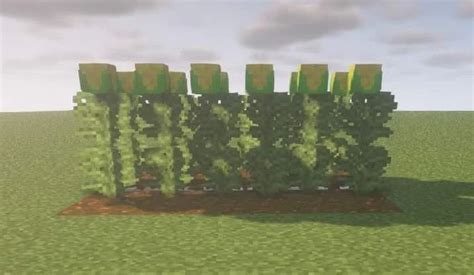 Minecraft Bush