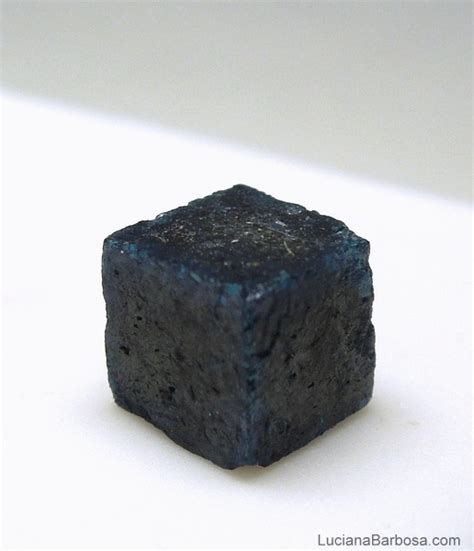 Boleite Luciana Barbosa