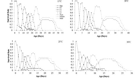 Influence Of Four Different Temperatures On The Age Stage Specific Download Scientific Diagram