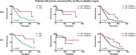 For Tumors Outside The Voxel Based Lesion Symptom Mapping Download