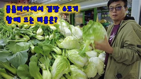 배추 6 포기 김장 담글 때 콜롬비아에서는 얼마 들까요 Youtube