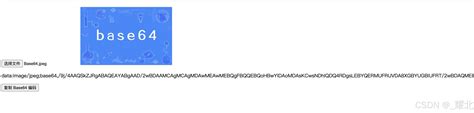 前端图片转base64编码前端转base64 Csdn博客