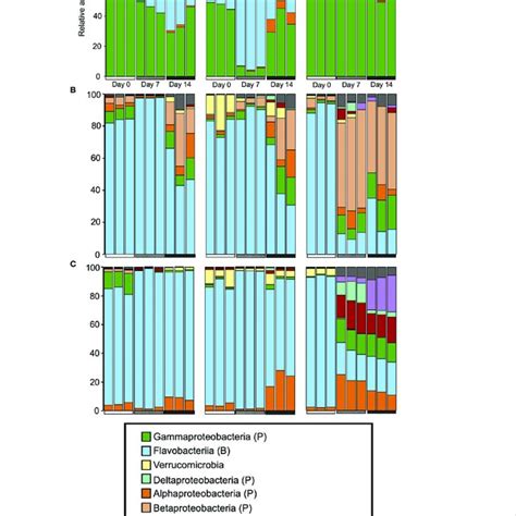 Nonmetric Multidimensional Scaling Nmds Ordination Plots Based On Download Scientific Diagram