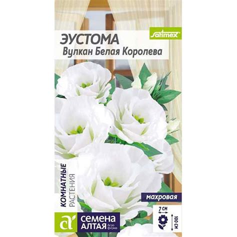 Эустома Вулкан Блю Пикоти Семена Алтая (84783): купить семена почтой в ...