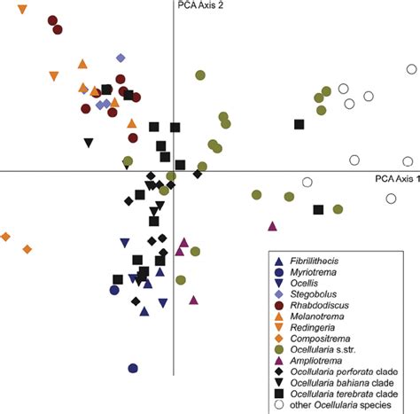 Pca Ordination Us Ing Correlation To Compute The Cross Products