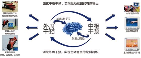 【羿生课堂】卒中超早期康复，从手先开始 脑医汇