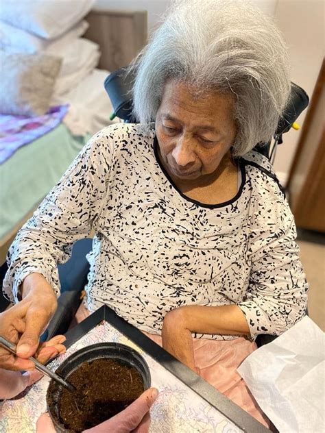 This Years Vegetable Patch Dormy Care Communities