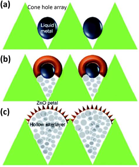 A C The Liquid Solid Transformation Of Egain Liquid Droplets In The
