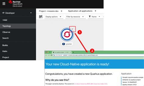 Install An Application From A Linux Container Image Using The Oc Cli