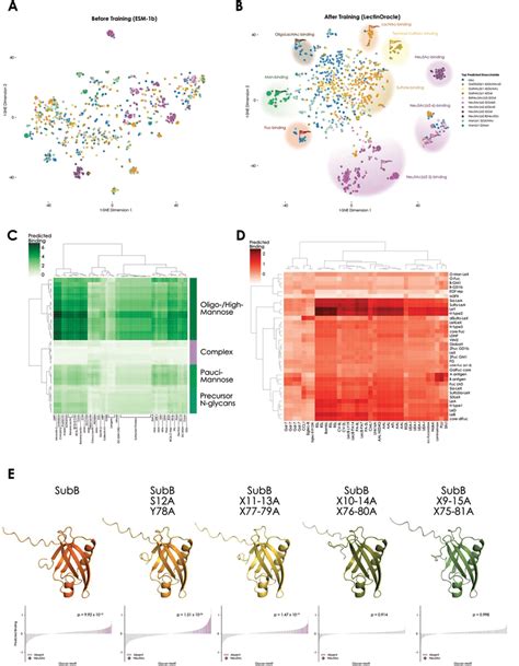 Clustering Lectins Based On Learned Binding Motifs Ab Lectins Download Scientific Diagram