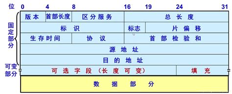 网络层 arp协议与ip数据报结构图解 arp封装在ip数据报的数据部分 csdn博客