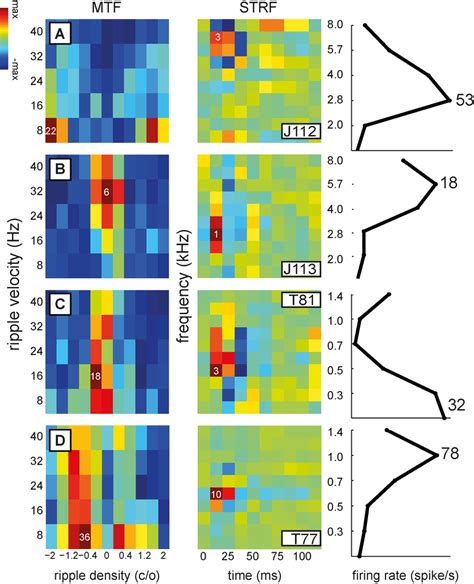 Magnitude Transfer Functions Corresponding Strfs And Tone Responses