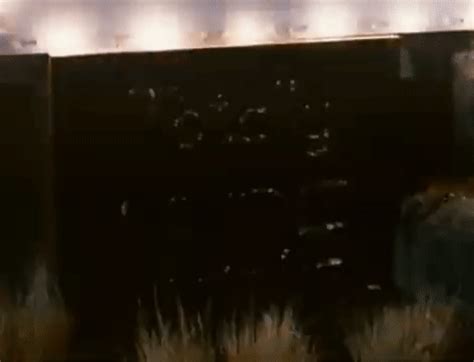 Totally Nude On Tumblr