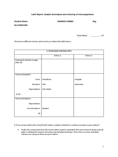lab3 report template mandisi fombo pdf