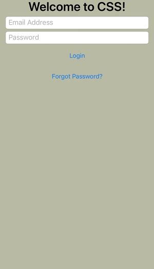 Styling Xamarinforms Apps With Css Visual Studio Magazine