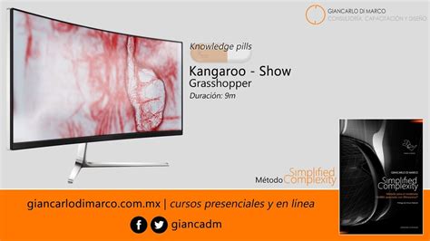 Grasshopper Kangaroo Show Youtube