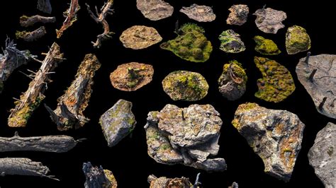 Nature Photogrammetry Bundle 30 Models 16k Superhive Formerly