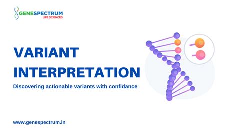 the importance of variant interpretation in genetic testing a guide