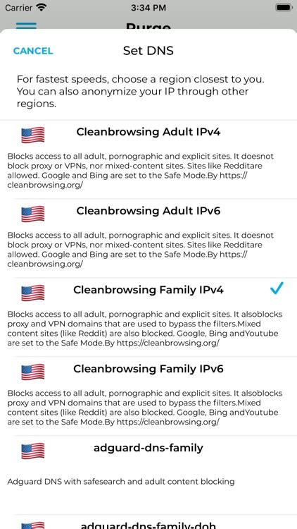 Purge Porn Blocker Safe DNS By J C L TRAVELS INC