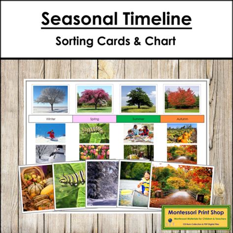 Seasonal Timeline Sorting Cards And Control Chart Made By Teachers