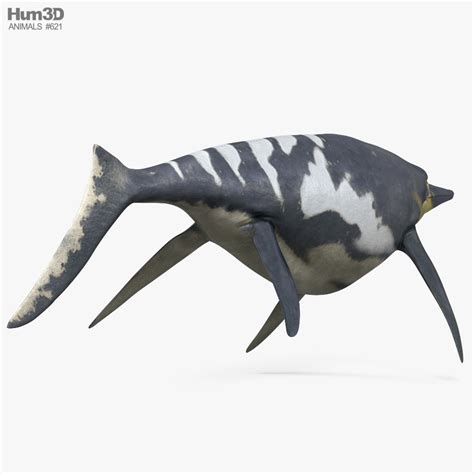 Shonisaurus 3d Model Download Dinosaur On