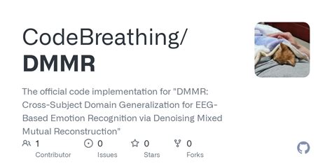 Github Codebreathingdmmr The Official Code Implementation For Dmmr Cross Subject Domain