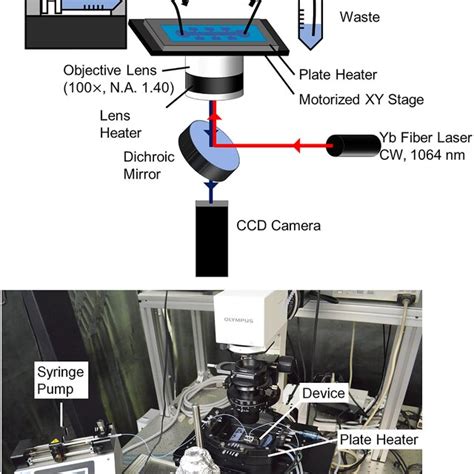 cell manipulation and assembly using an optically driven microtool with
